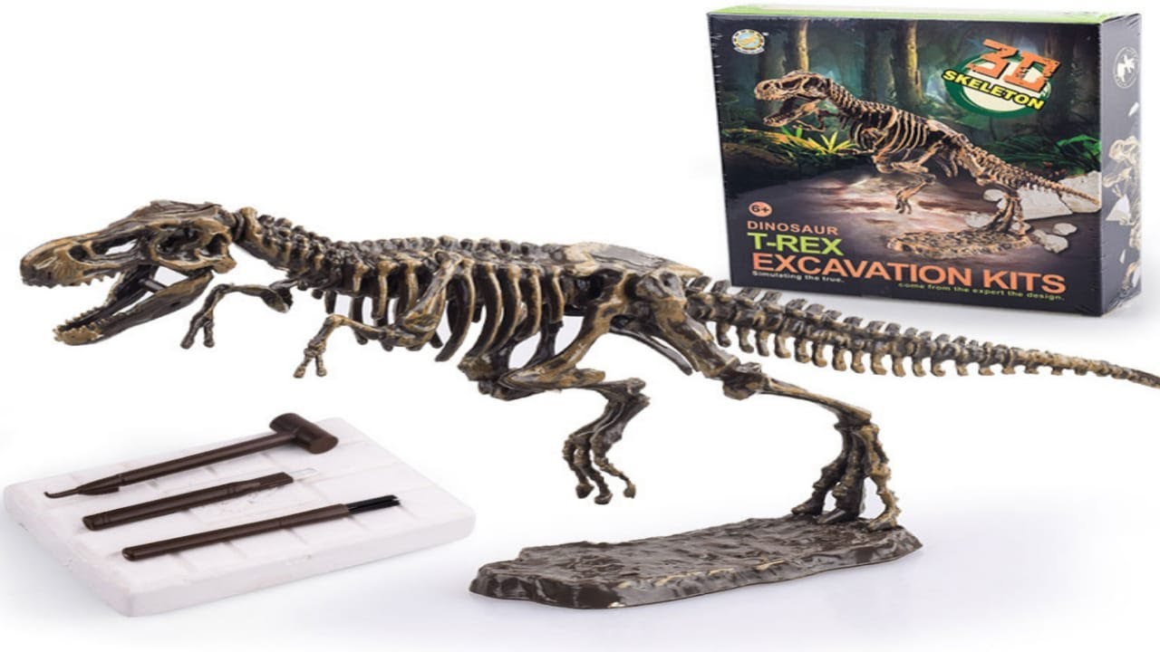Dinosaur T Rex Excavation Kits Youtube