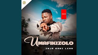 Umafikizolo Inja Kabi Lena Feat Nomfundo Moh 2025 Hit Song Golden Music ...
