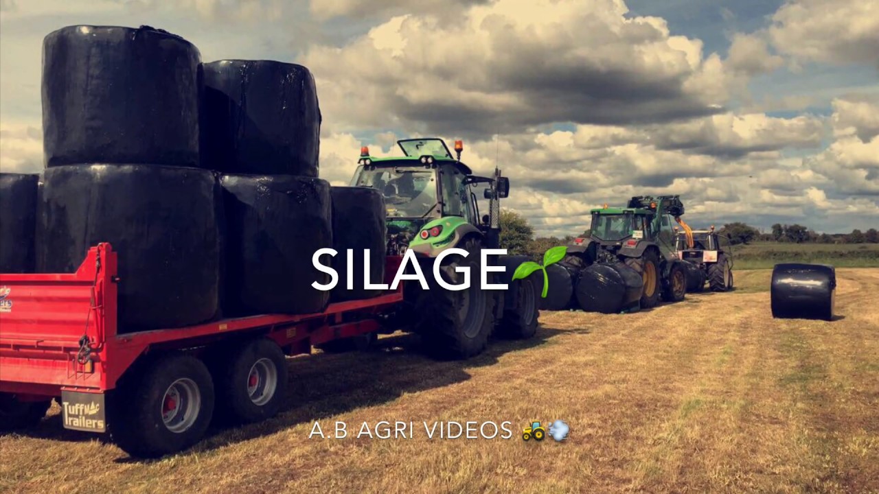 Silage Youtube