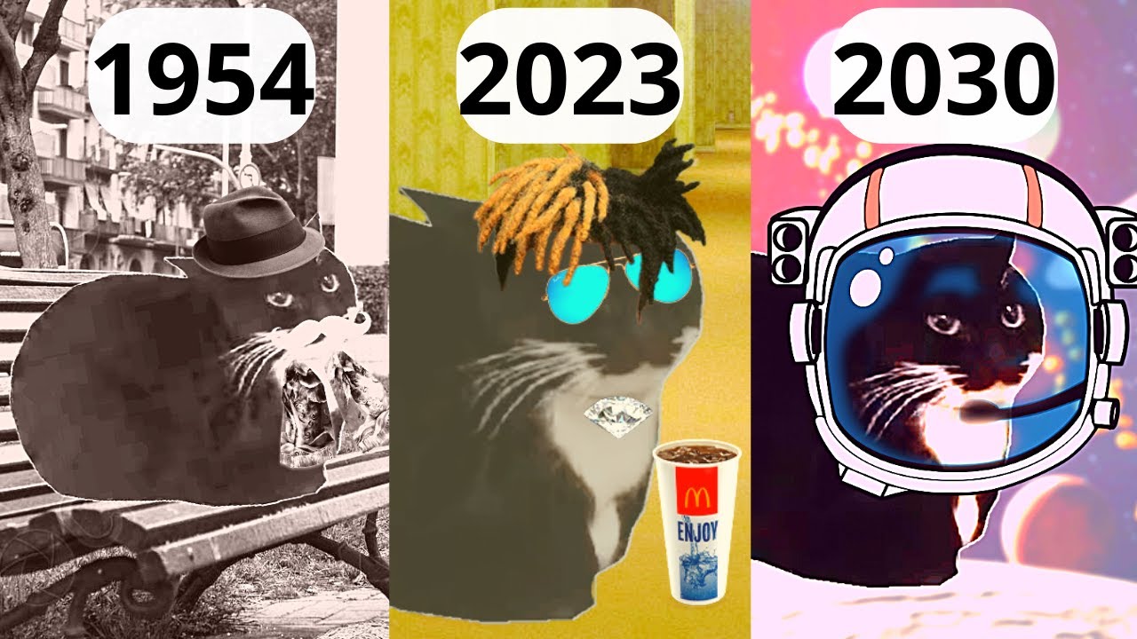Maxwell The Cat Evolution In Different Years Youtube