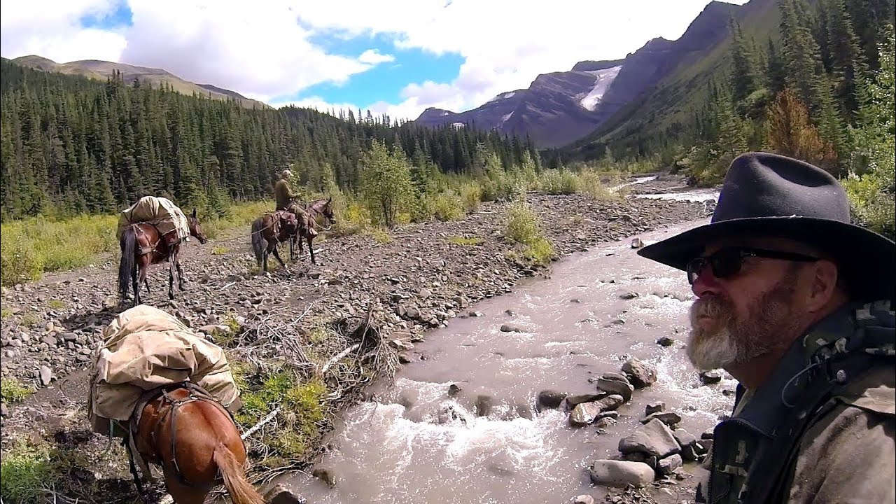 Stone Sheep Cassiar Mountains British Columbia Youtube