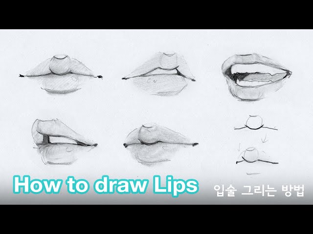 Steps To Draw A Mouth Infoupdate Org