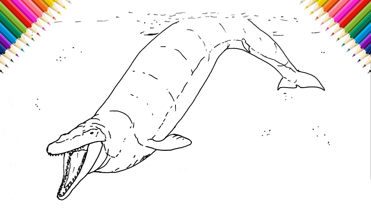 Basilosaurus Drawing At Janice Alvares Blog