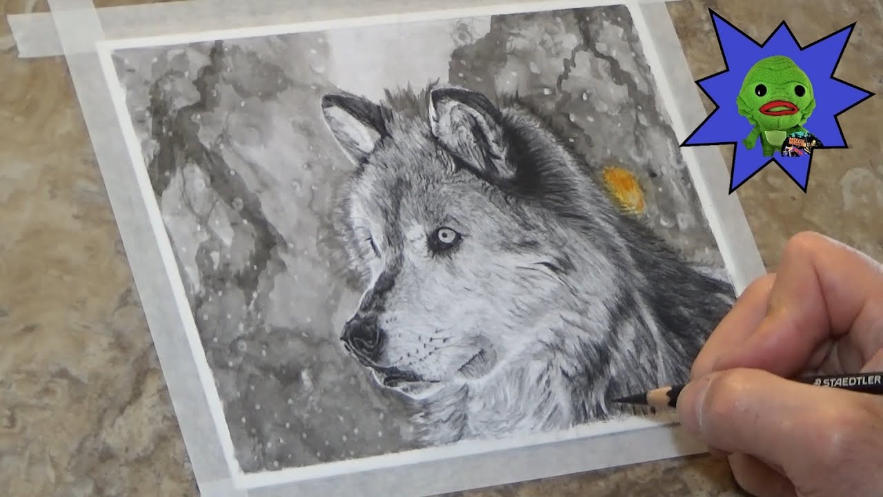 Wolf Time Lapse Pencil Sketch Youtube