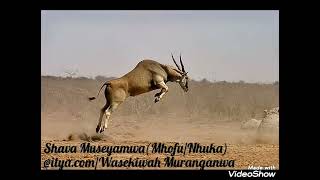 Mhofu Yemukono Totem Mp3 Music & Mp4 video downloads