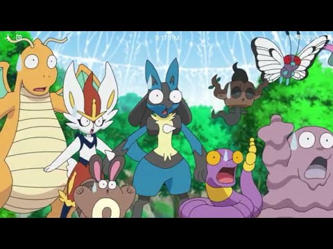 Cinderace And Lucario S Cute And Funny Moments Pokemon Journeys Ep70