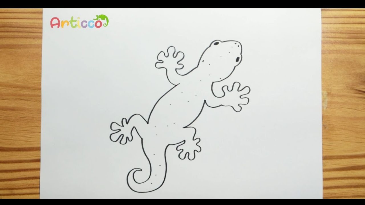 Gecko Drawing Outline