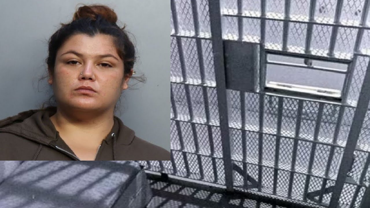 Inmate Becomes Pregnant While At Miami Dade Jail Youtube