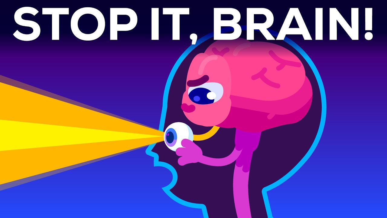 How Our Brains Create Our Realities