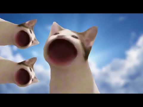 Oooooooooooooooooooooooooooooooooooooooooooooooooooooooooooooooooo