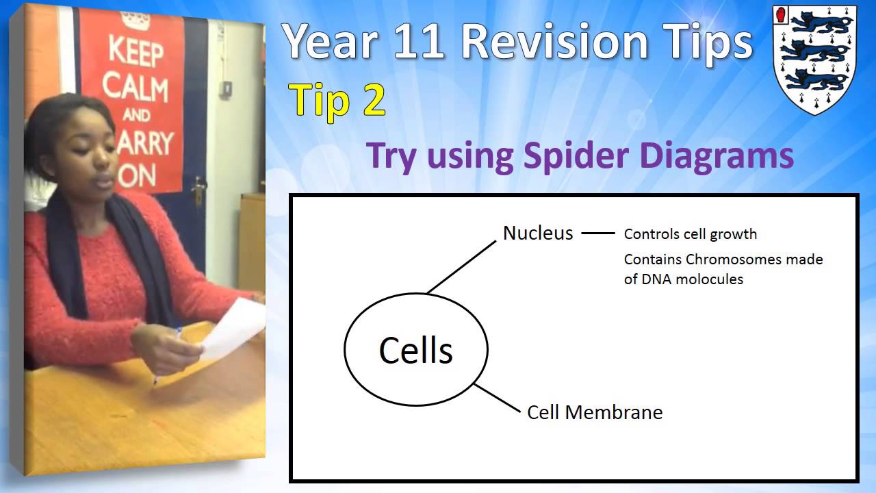 Tip 2 Spider Diagrams Youtube