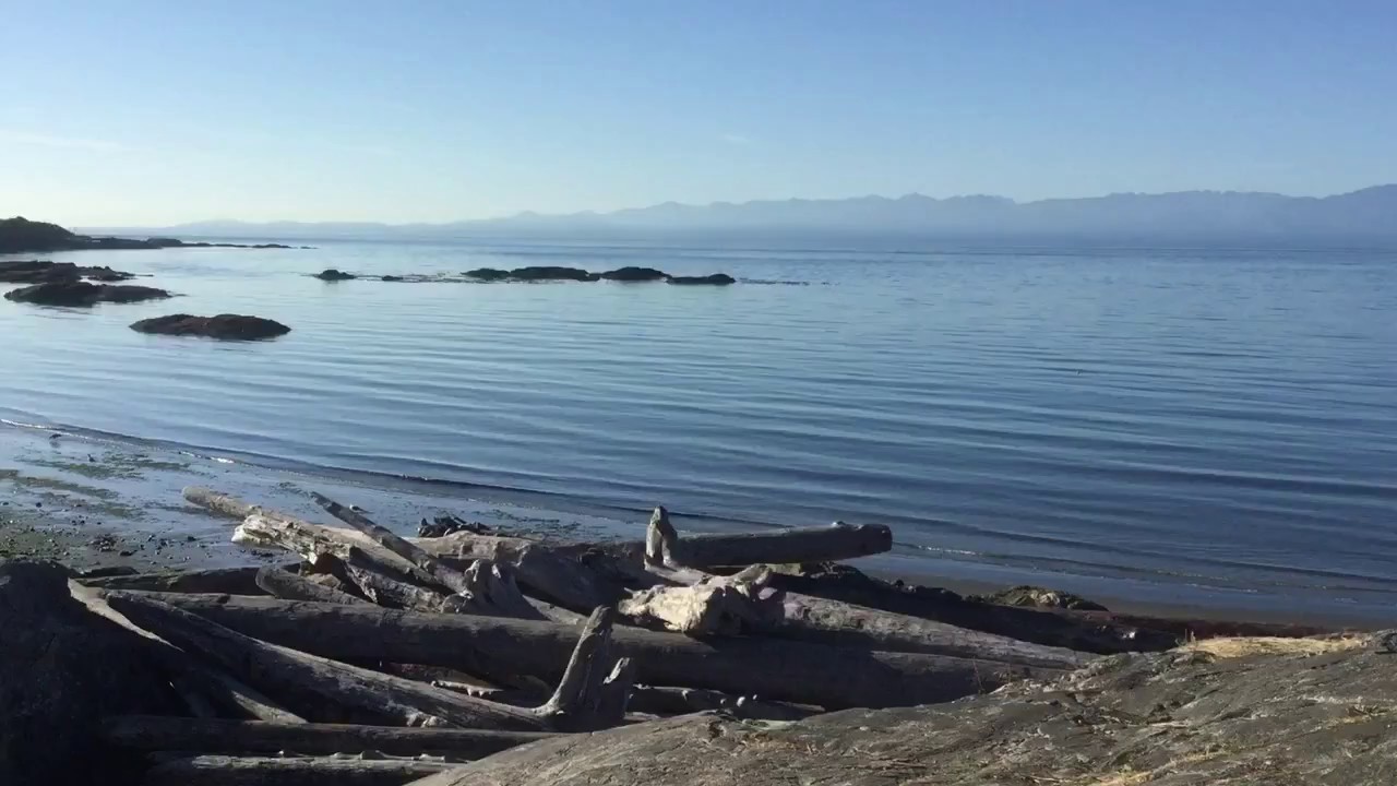 Asmr Ocean Sounds Youtube