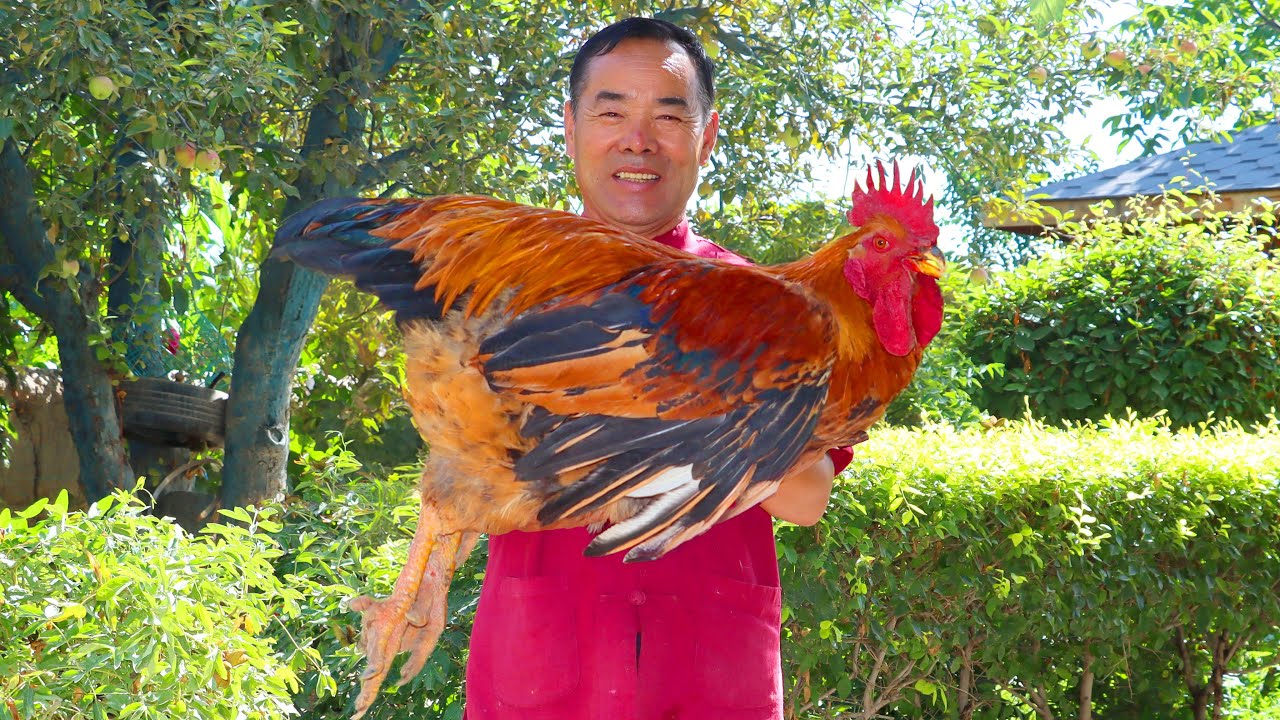 World Most Flavorful Chicken Recipe Huge Rooster Fried With Rich Side