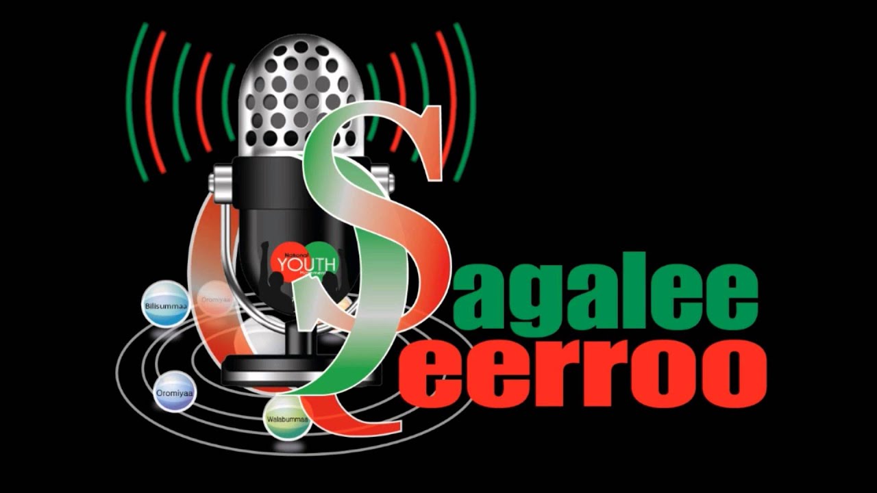 Sagalee Qeerroo Bilisummaa Sq Oromoo Hagayya 11 2015 Youtube