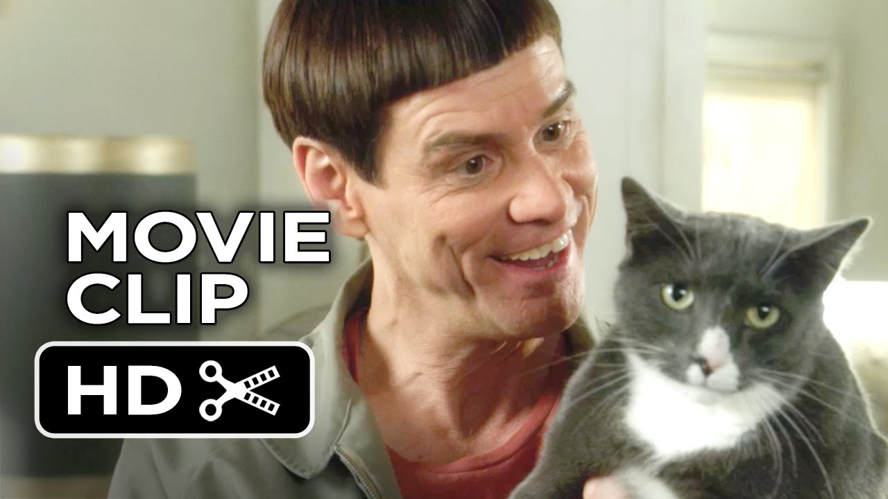 Dumb And Dumber To Movie Clip Old Apartment 2014 Jim Carrey Jeff