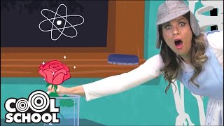 Full Story рџ ћ The Disappearance Of The Magical Rose рџњ Princess Detective