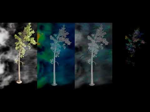 Realistic Tree Simulation Houdini Hip File