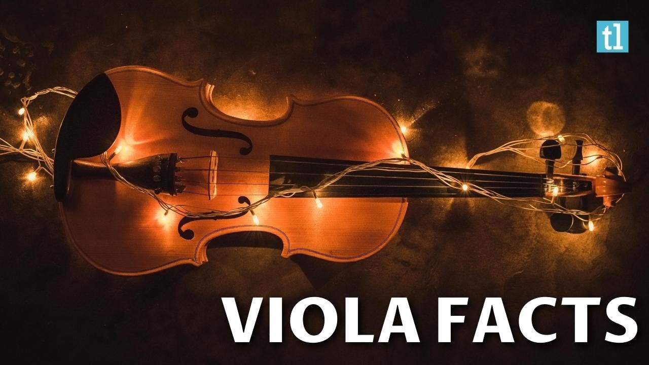 Viola Facts Ted S List