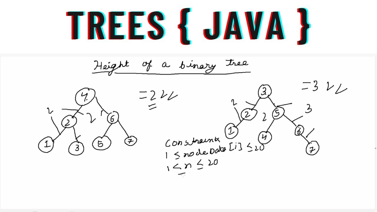 Tree Height Of A Binary Tree Hackerrank Java Youtube