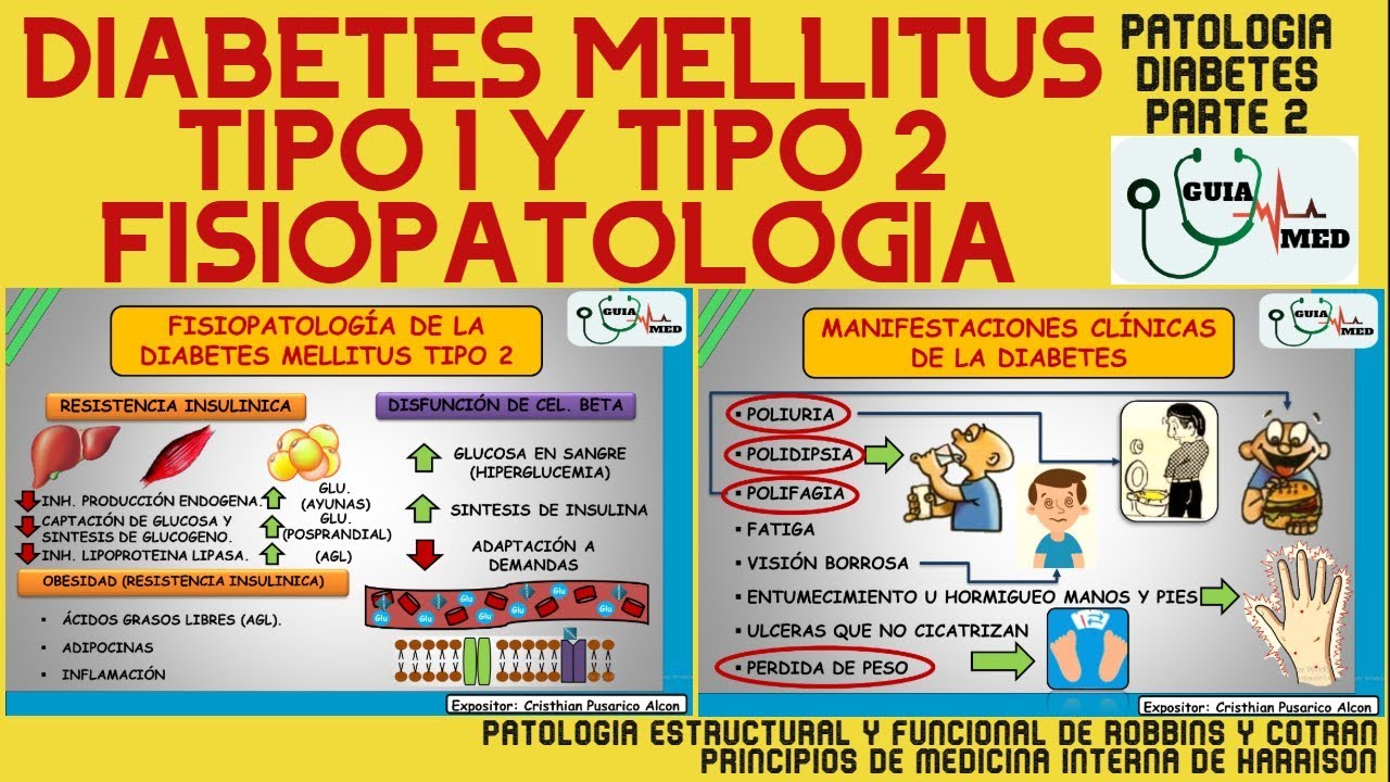 Fisiopatología De La Diabetes Mellitus Tipo 1 Y Tipo 2 Guiamed Youtube
