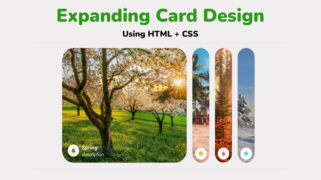 Css Expanding Card Design Using Html Css Css Tutorial Youtube