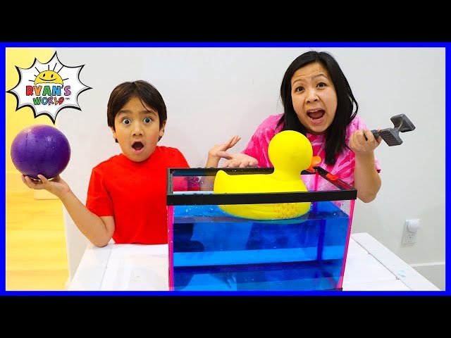 Science Video For Kids Learning Sink Or Float Experiment Videos For Kids
