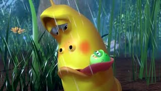 Larva The Matchstick Larva 2019 Cartoons For Children Larva