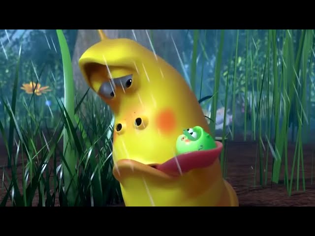 Larva Babysitting Larva 2019 Cartoons For Children Larva