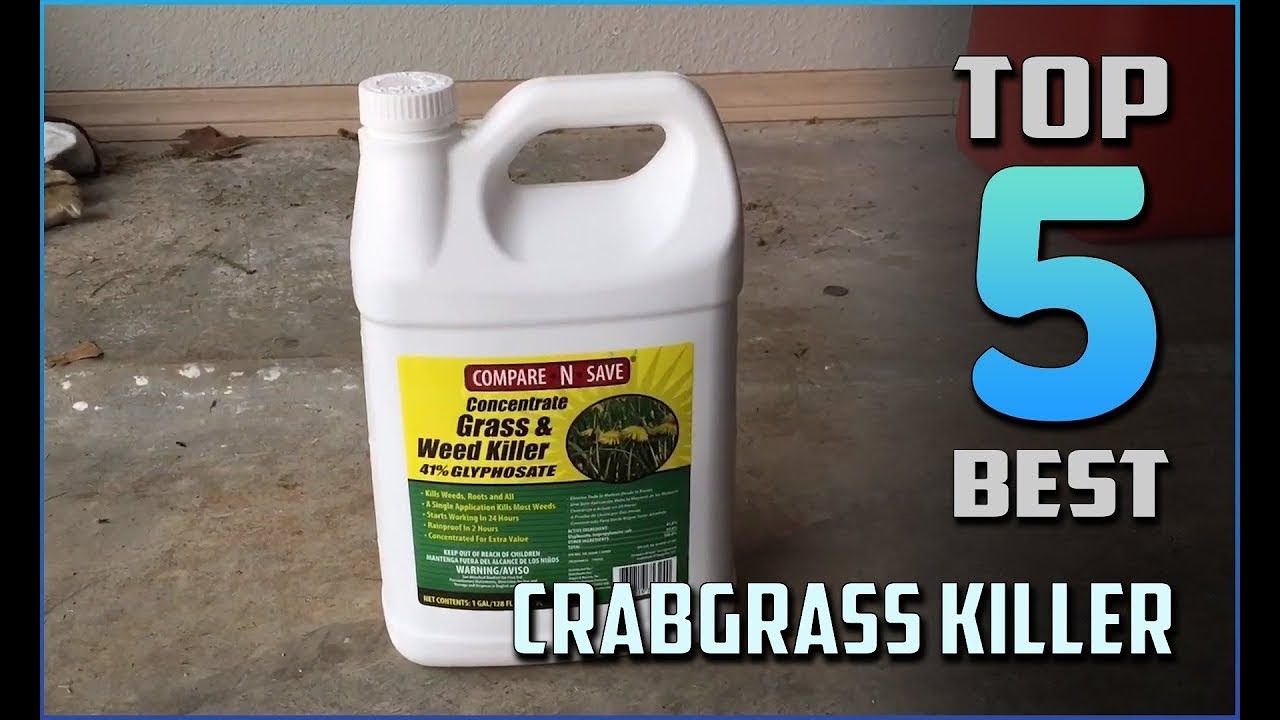 Top 5 Best Crabgrass Killers Amazon Review Youtube