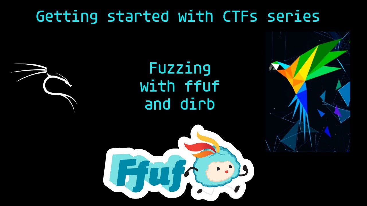 Ctf Guide Fuzzing Youtube