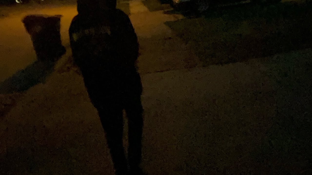 Ding Dong Ditching Pt2 Youtube