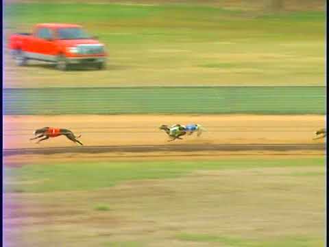 Friday Final20 Youtube