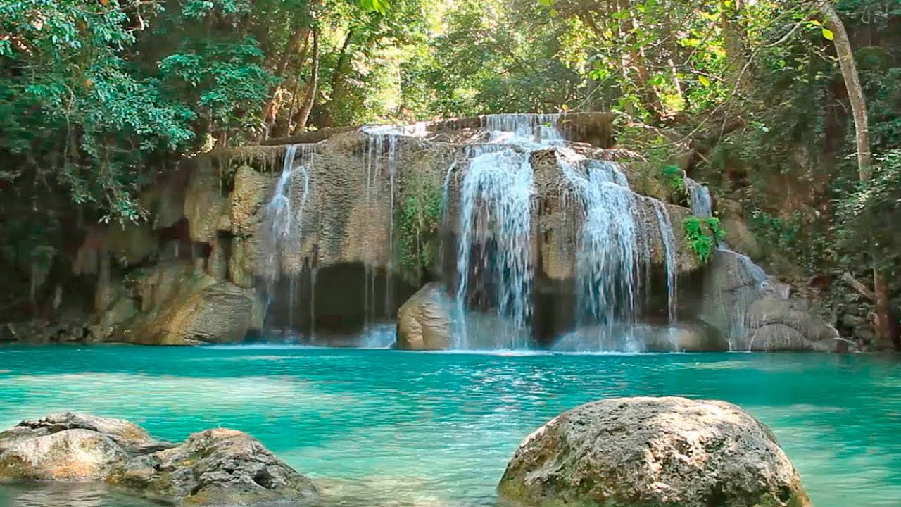 Calming Music Nature Sounds Zen Music Youtube Music