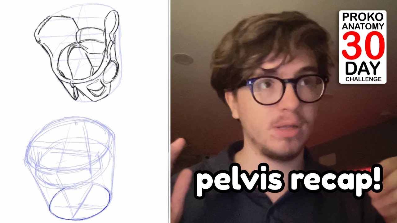 Proko Anatomy 30 Day Challenge The Pelvis Youtube