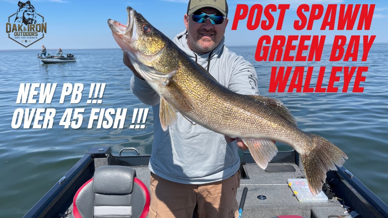 Post Spawn Green Bay Walleye With New Pb Youtube