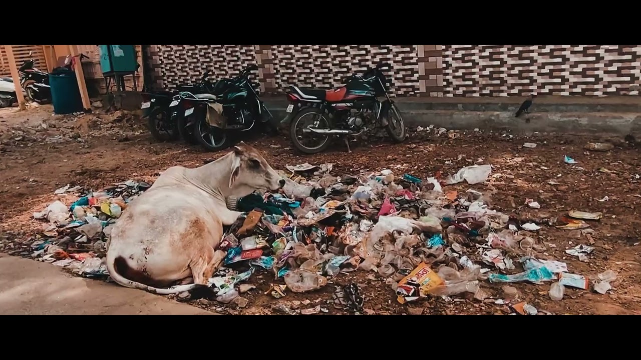 Save Environment Youtube