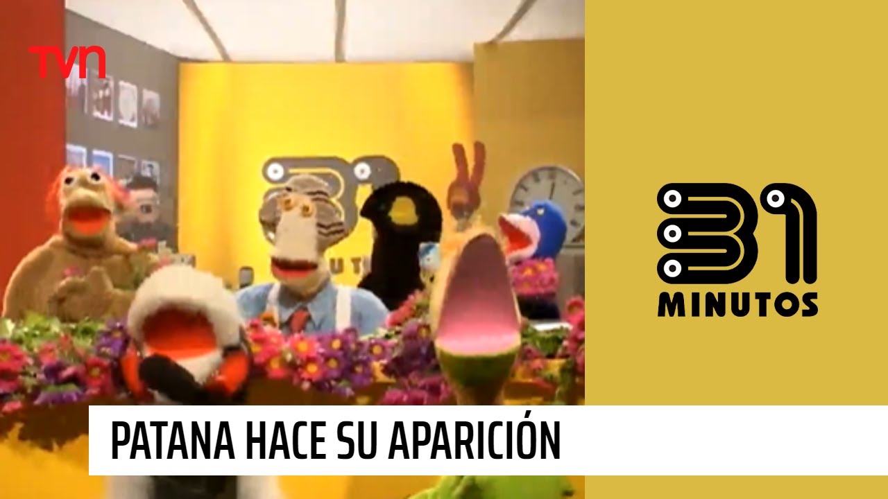 Patana Hace Su Aparición La Sobrina De Tulio Triviño Que Busca Una