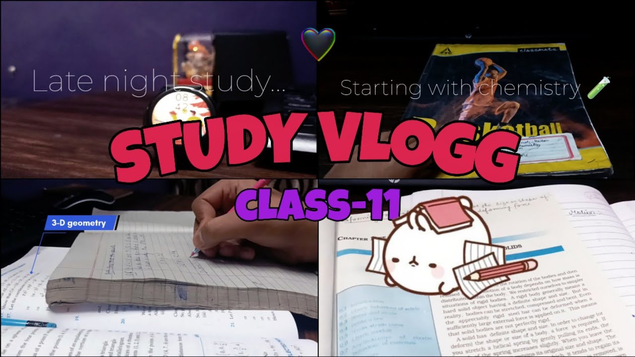 Study Vlogрџ Late Night рџњѓ Daily Study Routine Class 11 Youtube