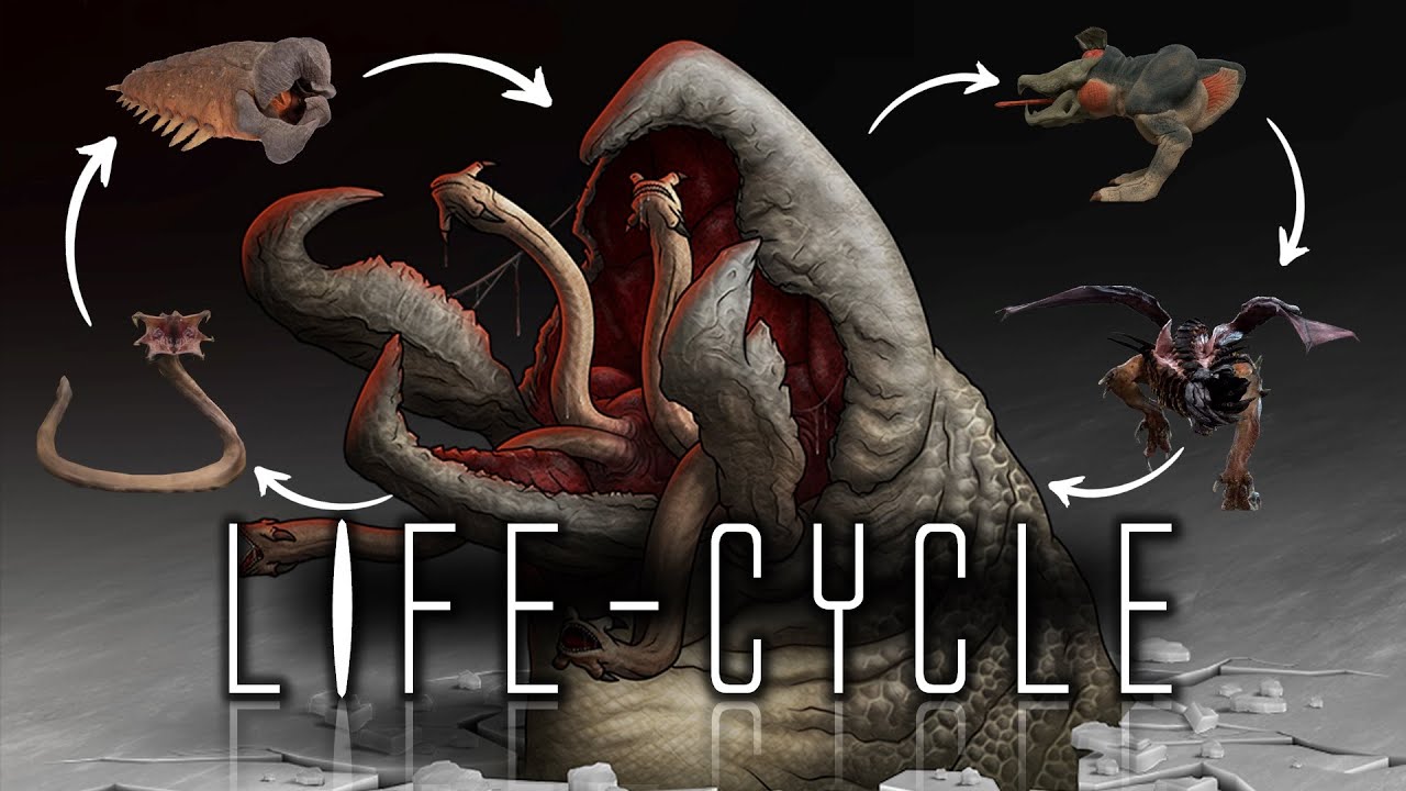 Graboids 6 Stage Life Cycle Origins Explained Youtube