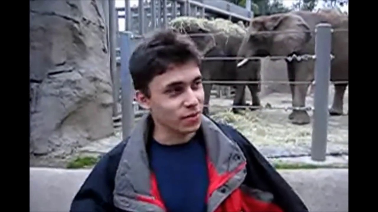 First Youtube Video Me At The Zoo By Jawed Karim Youtube Co