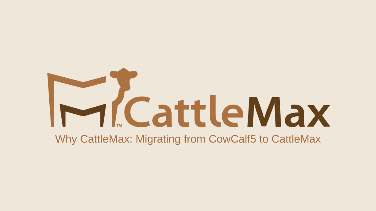 Why Cattlemax Migrating From Cowcalf5 To Cattlemax Youtube