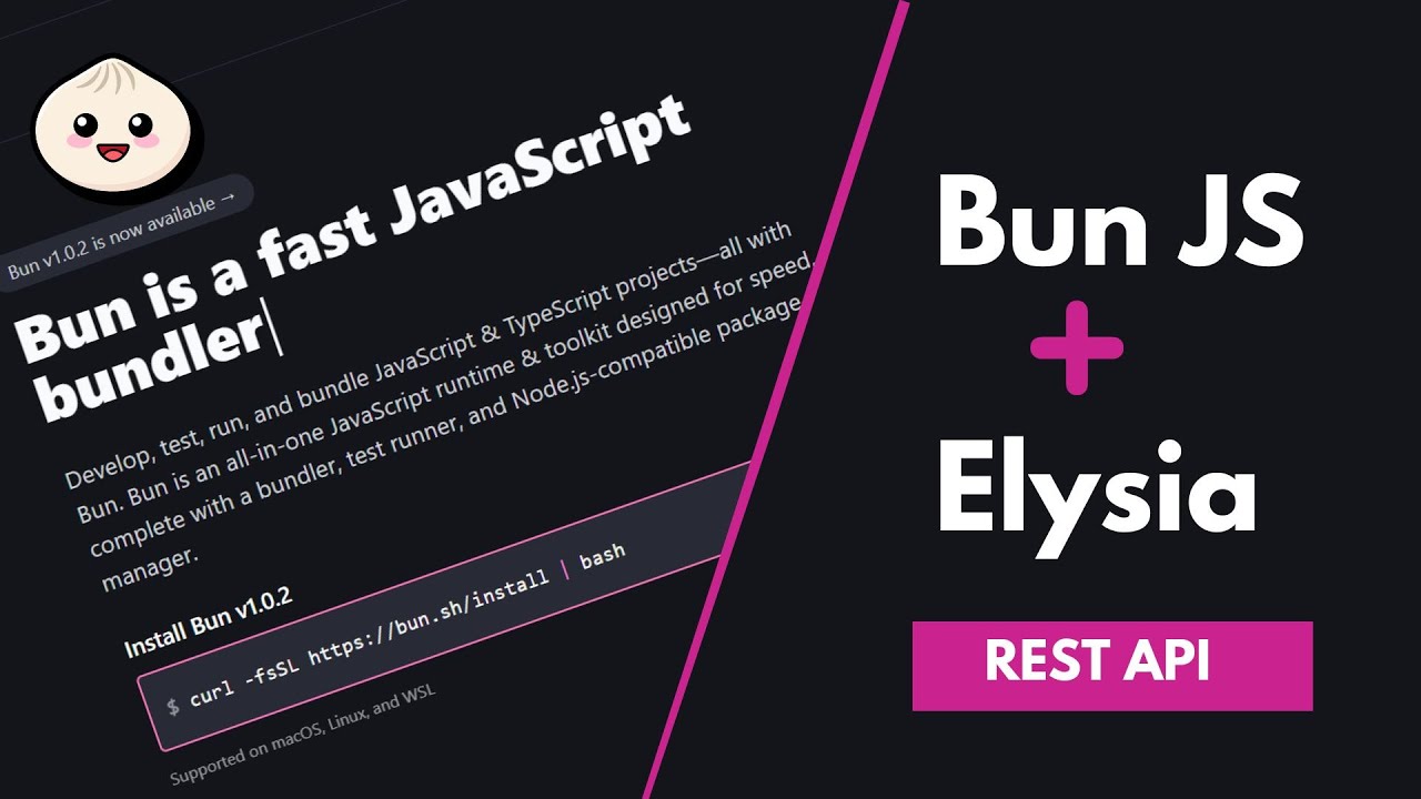 Bun Crash Course Latest Javascript Runtime Bundler Drop In