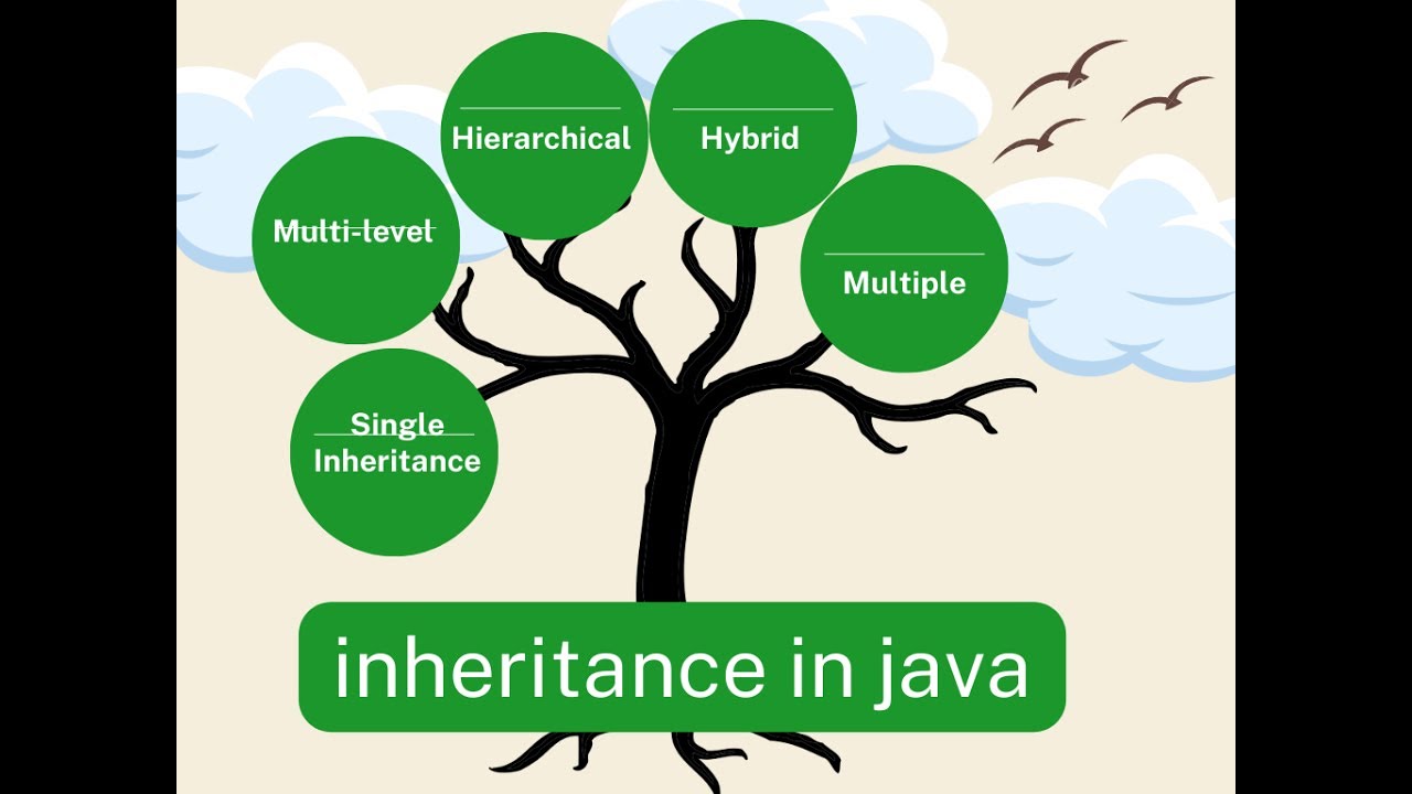 9 Oops Inheritance Youtube