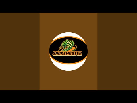 Snakemaster Gaming Er Live Youtube