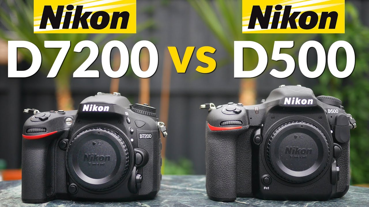 Nikon D500 Vs D7200 Head To Head Comparison Youtube