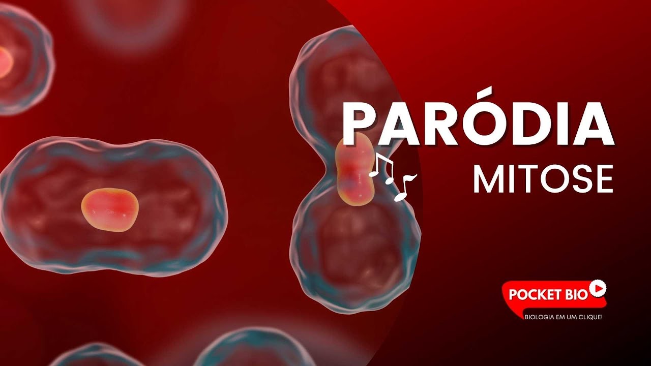Paródia Mitose Remake Youtube