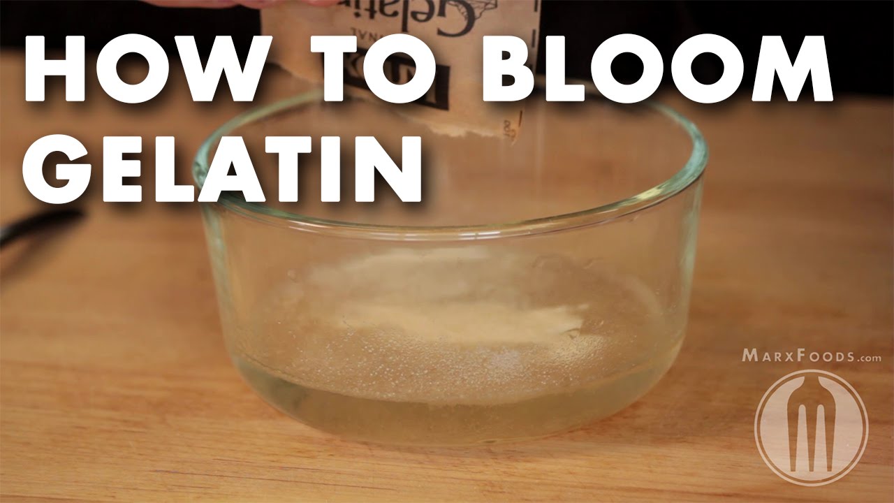 How To Bloom Gelatin Tutorial Video Youtube
