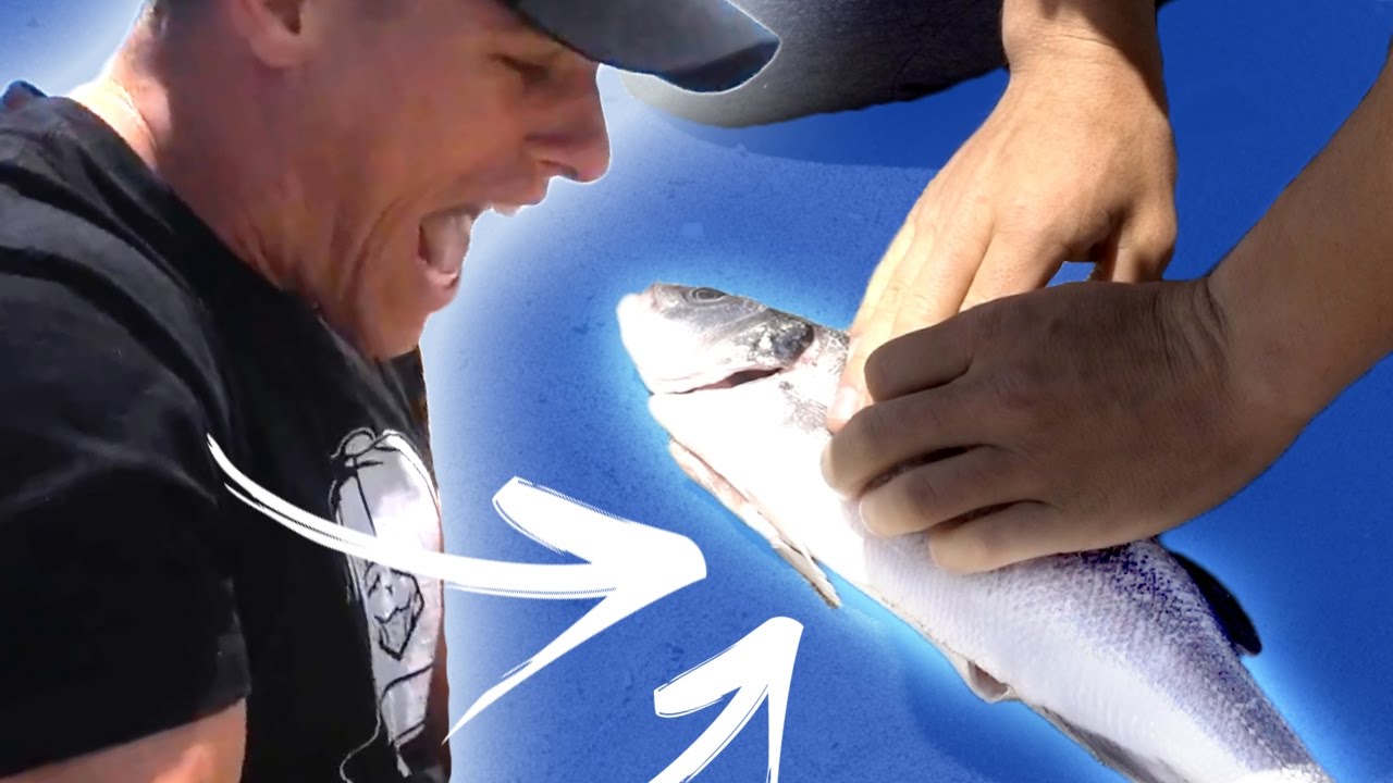 Saving A Fish Life Youtube