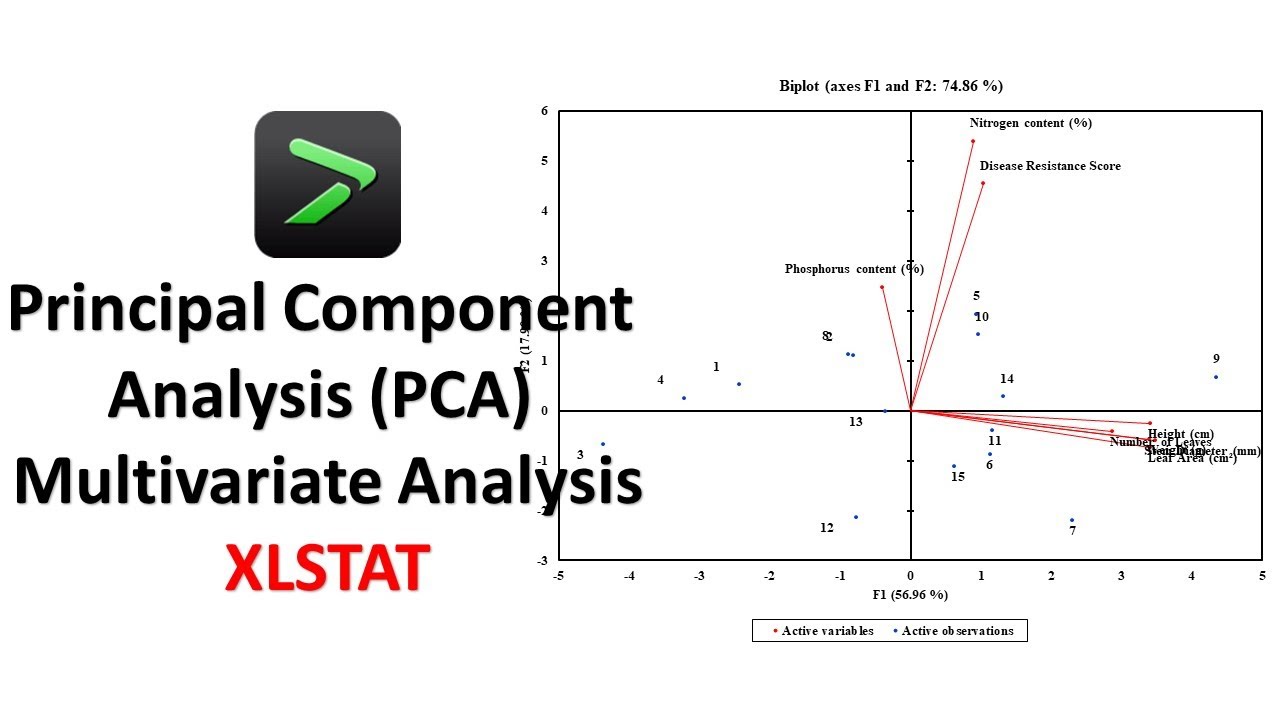 Principal Component Analysis Pca Multivariate Analysis Xlstat