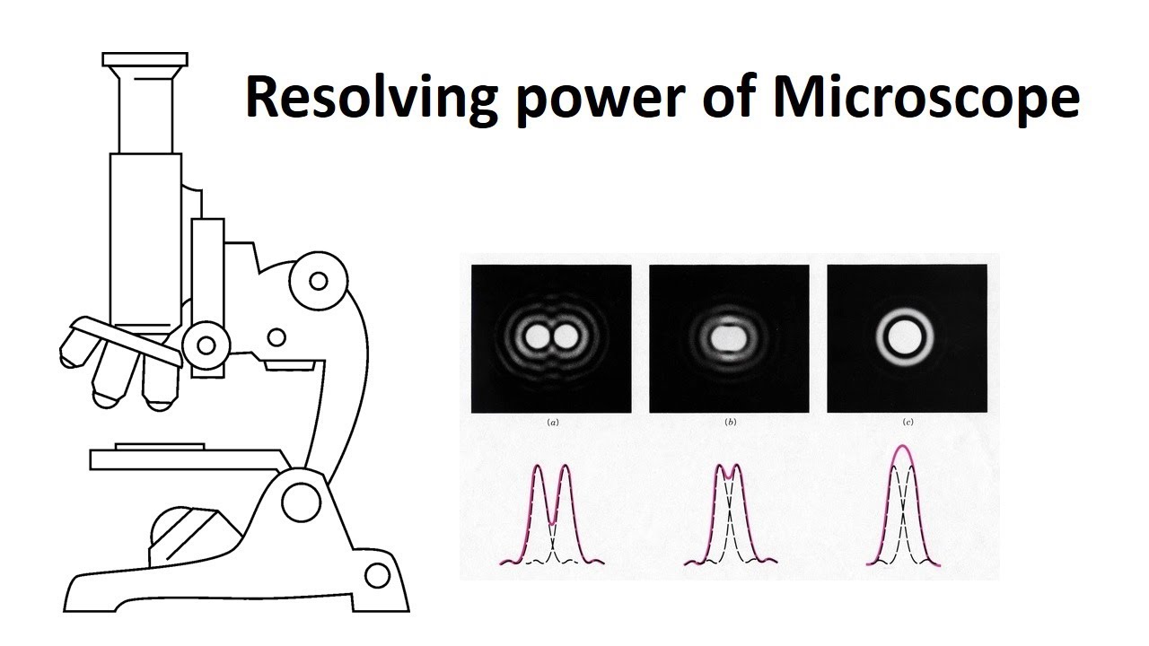 Compound Microscope Resolution At Missy Lynch Blog